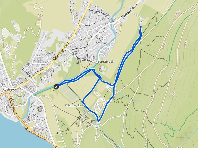 Rostrevor Parkrun | Laufrunde | Komoot